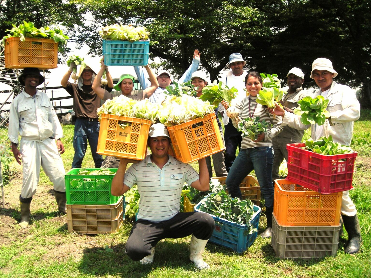 Front page - Oisca International