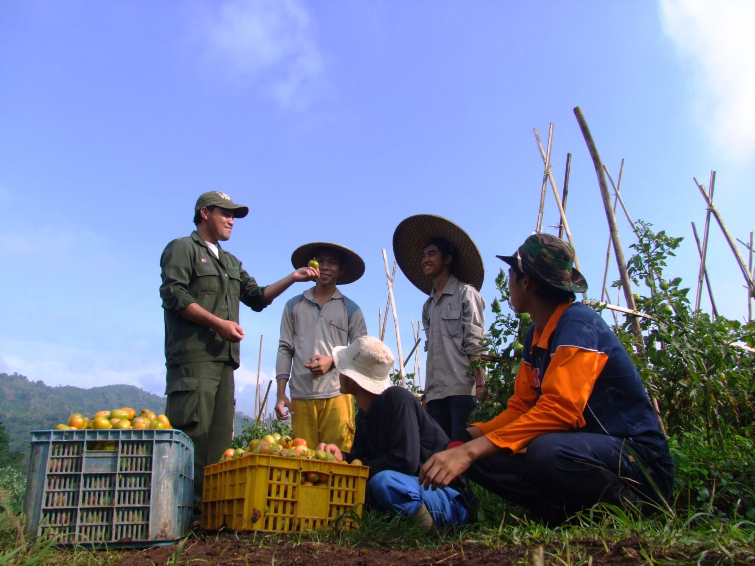 Works - Capacity Building - Oisca International