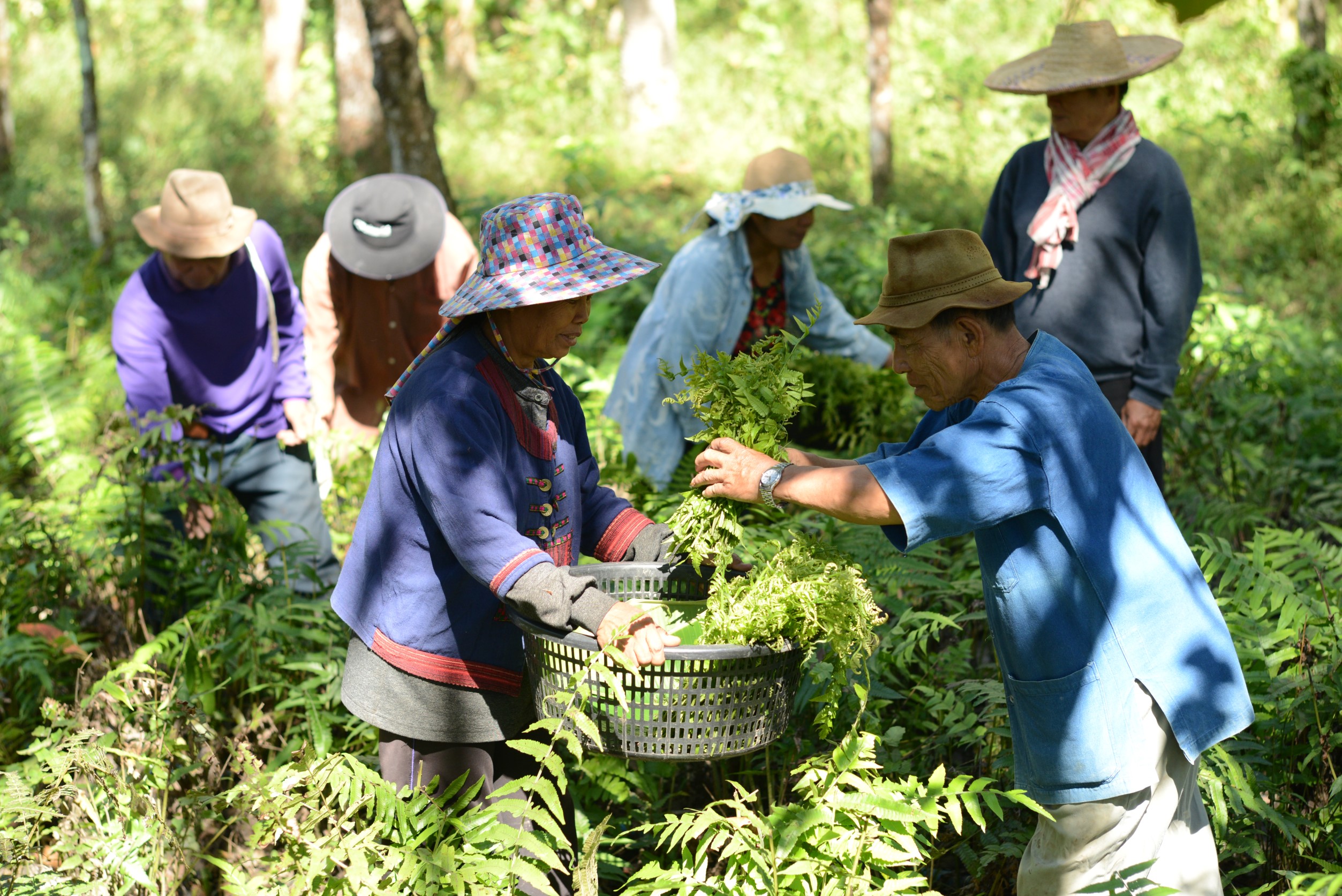 Works - Rural Development - Oisca International