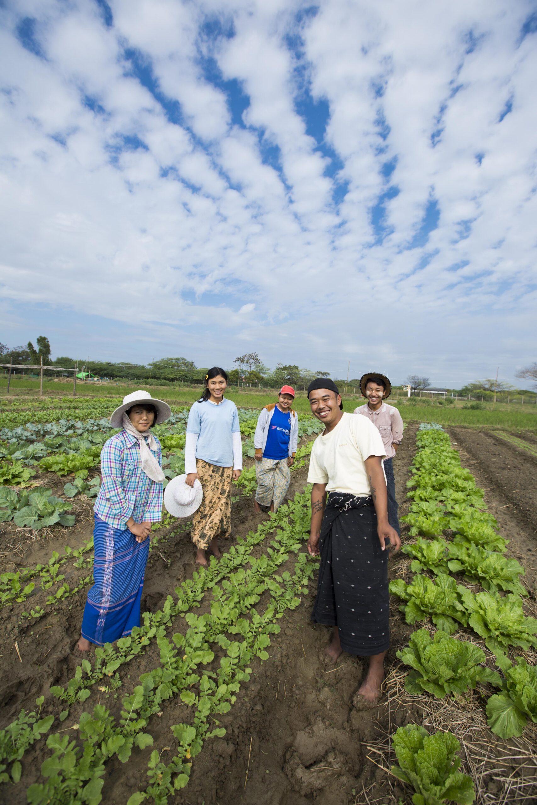 Activity Areas - Myanmar - Oisca International