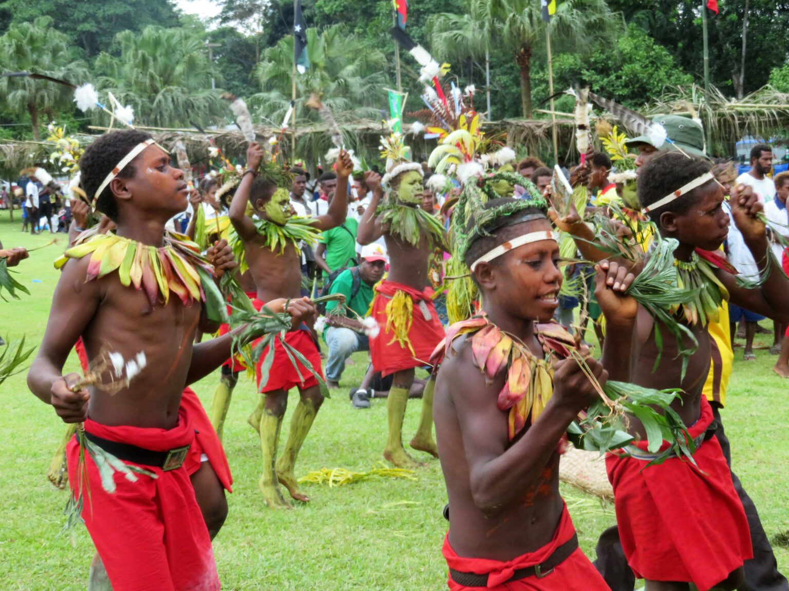 Activity Areas - Papua New Guinea - Oisca International