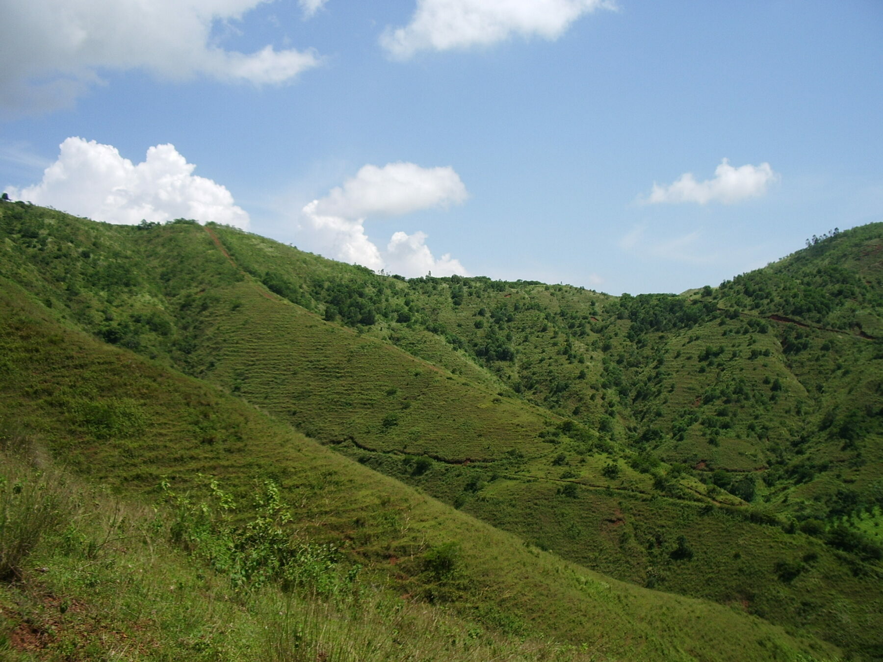 Front page - Oisca International