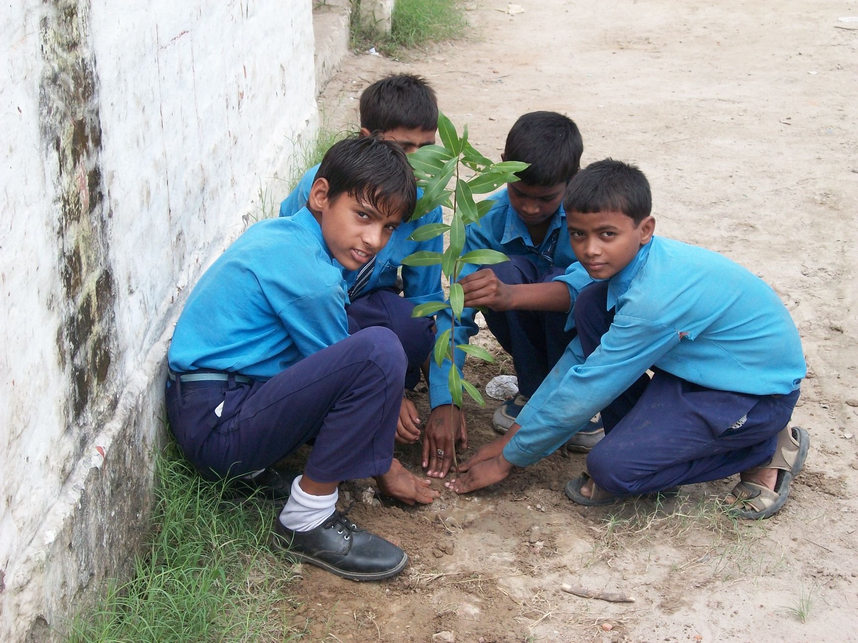 Plantation Programs in the month of July 2022, North India - Oisca ...