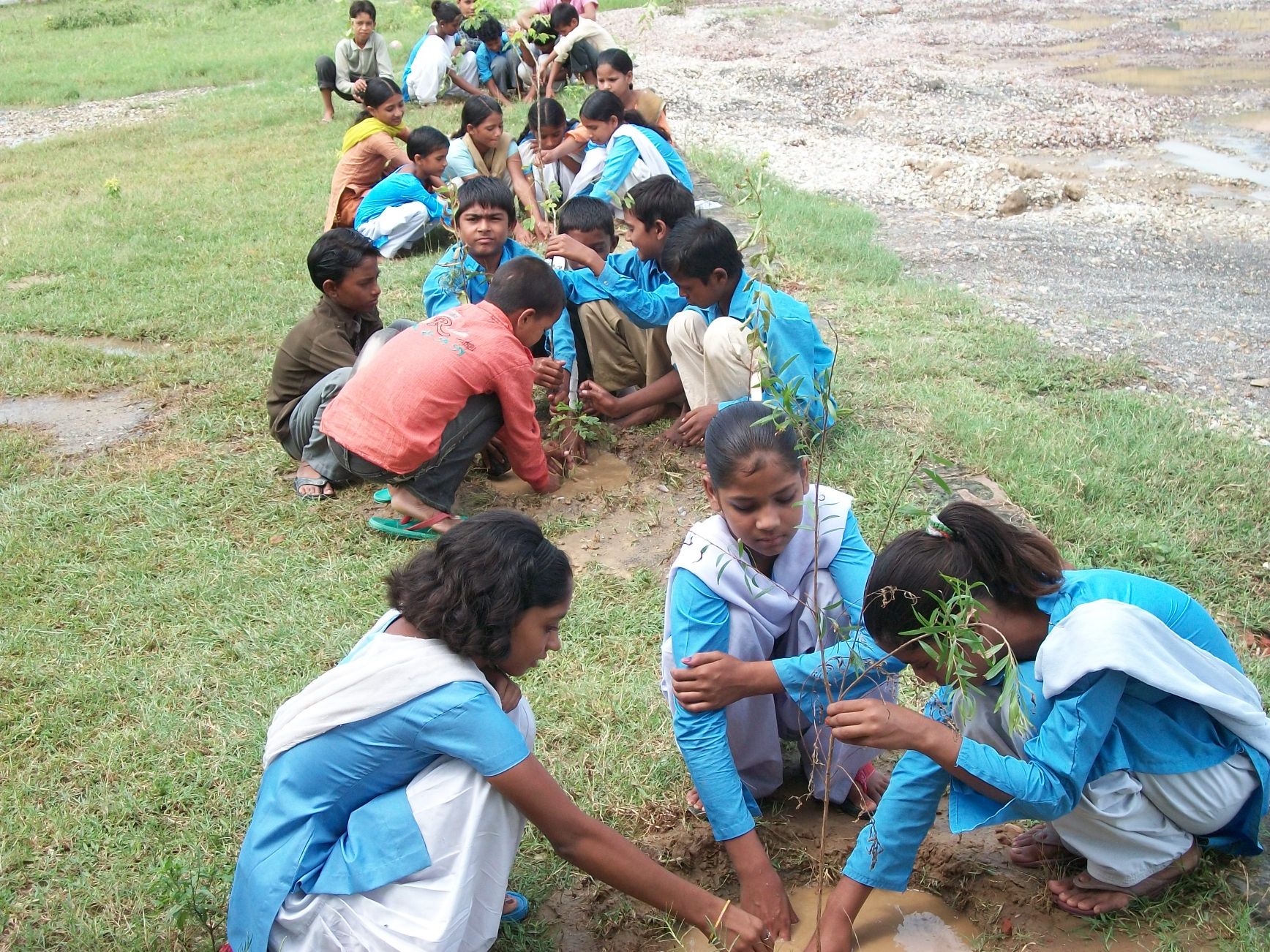 Plantation Programs in the month of July 2022, North India - Oisca ...