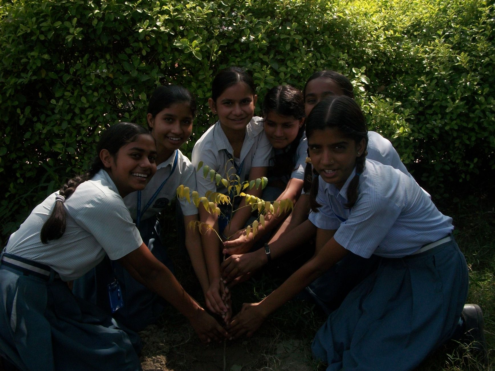 Plantation Programs in the month of July 2022, North India - Oisca ...
