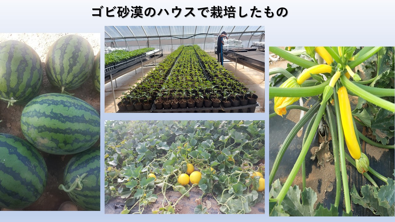 OISCA 4 Training Centers Collaboration Summit, Japan - Oisca International